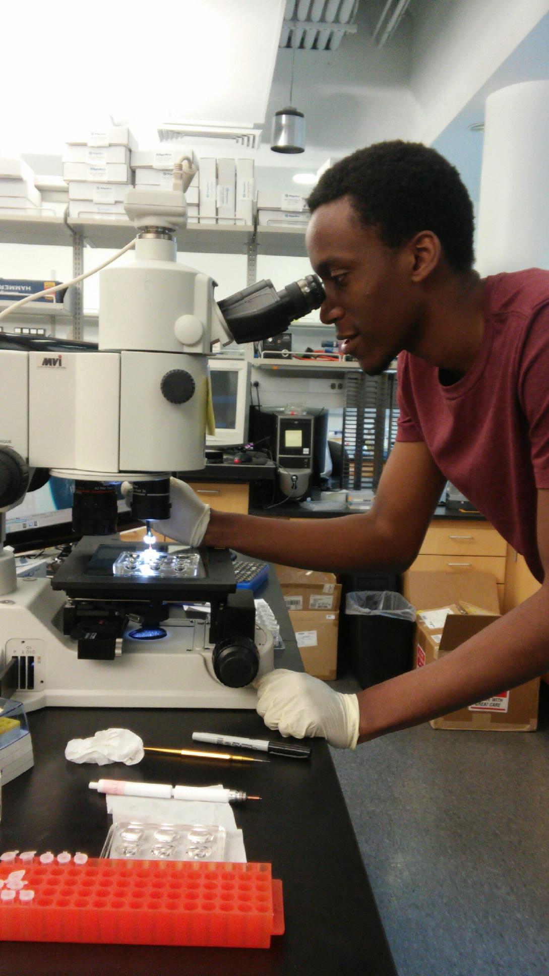 BioXFEL - Graduated BioXFEL Summer Interns